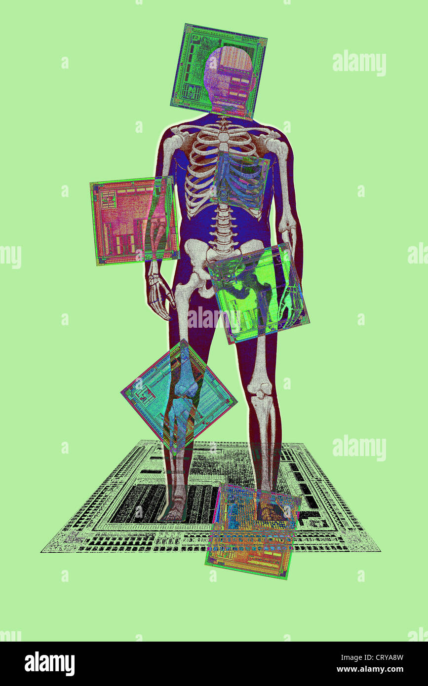 Bionics engineering hi-res stock photography and images - Alamy