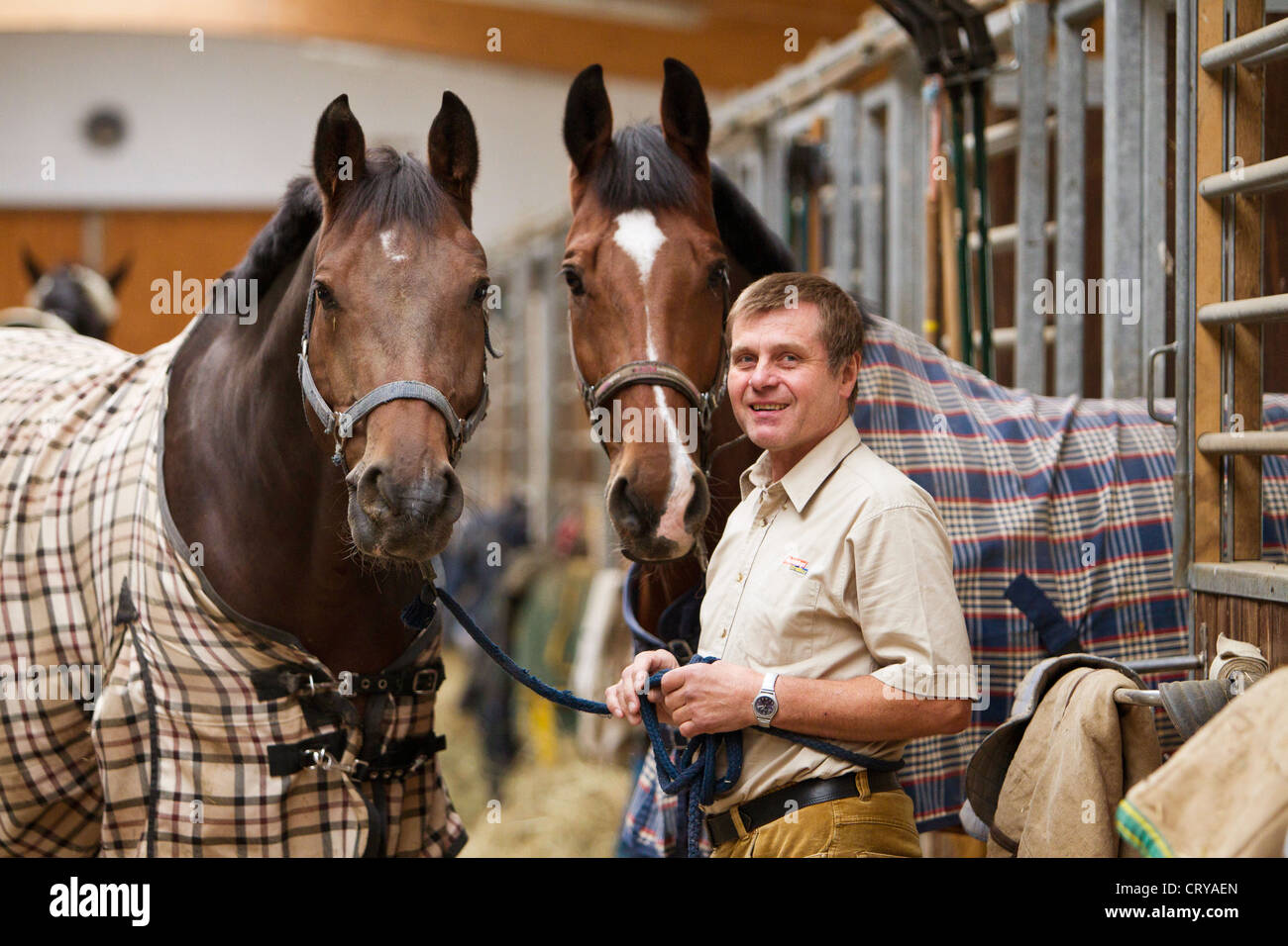 Halters hi-res stock photography and images - Alamy