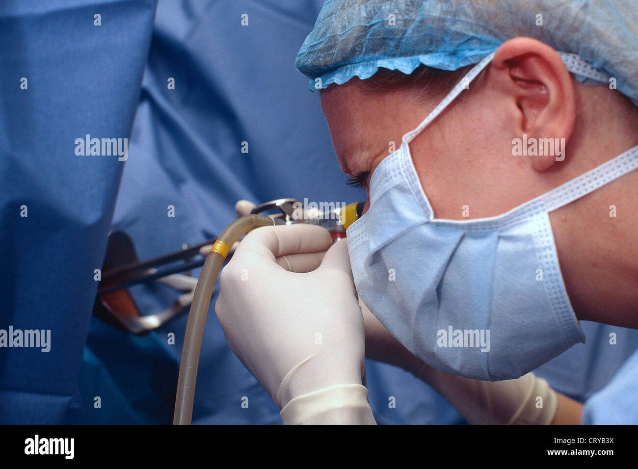 UTERUS, ENDOSCOPY EXAMINATION Stock Photo - Alamy