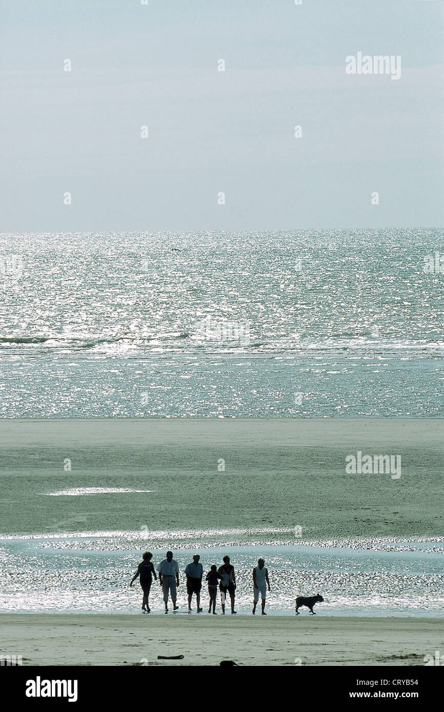Family group dogs outside hi-res stock photography and images - Alamy