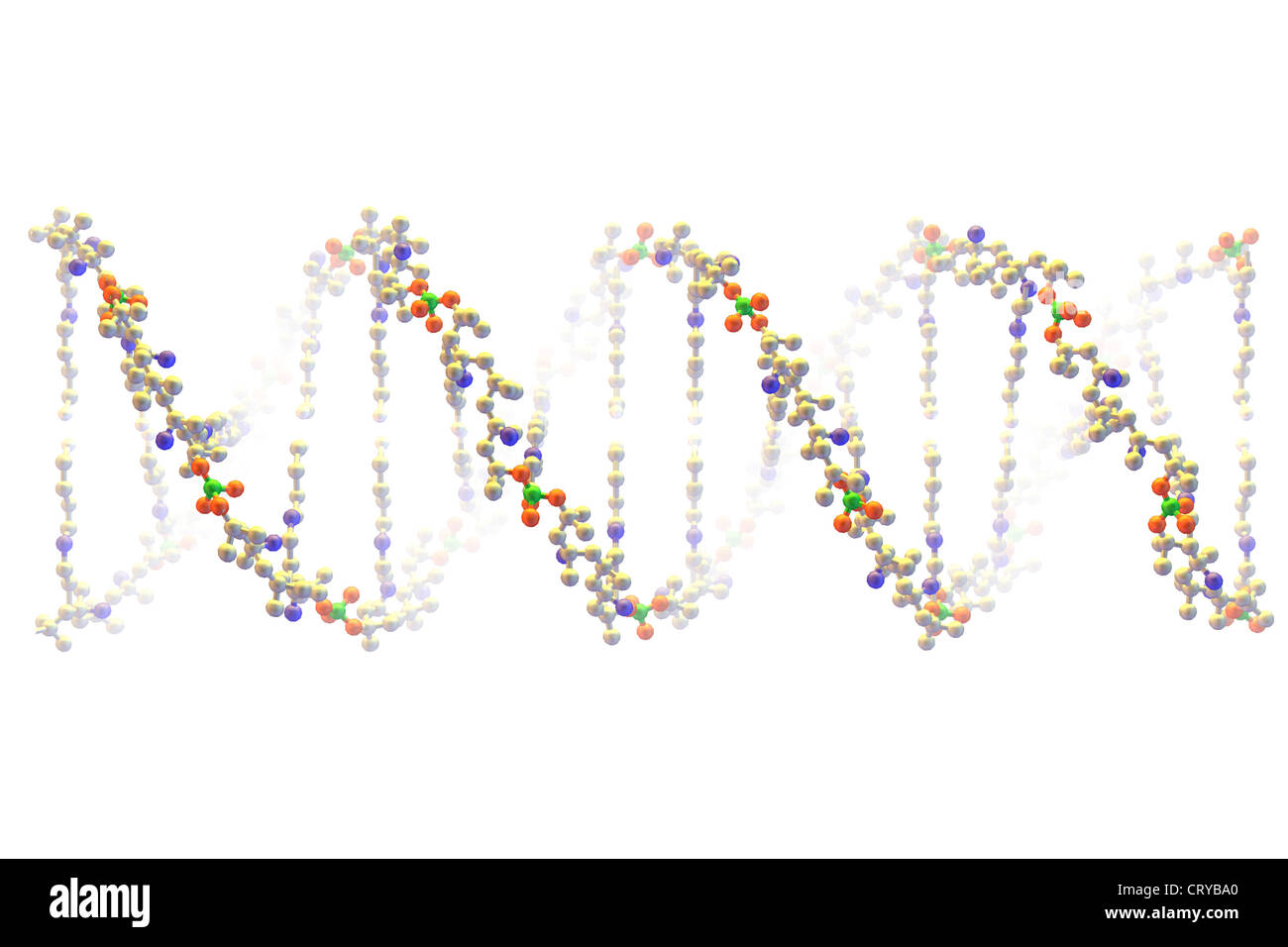 Helical dna Cut Out Stock Images & Pictures - Alamy