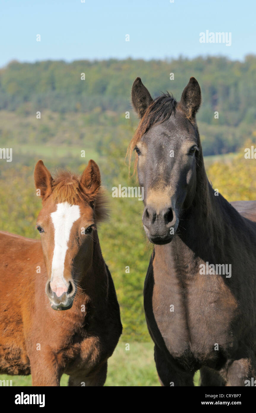Portrait two young individuals hi-res stock photography and images - Alamy