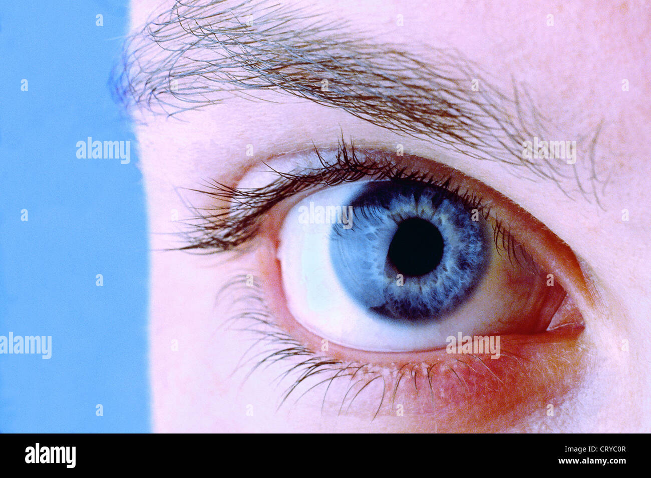 See seeing look looking view viewing visual eyes eyesight hi-res stock ...