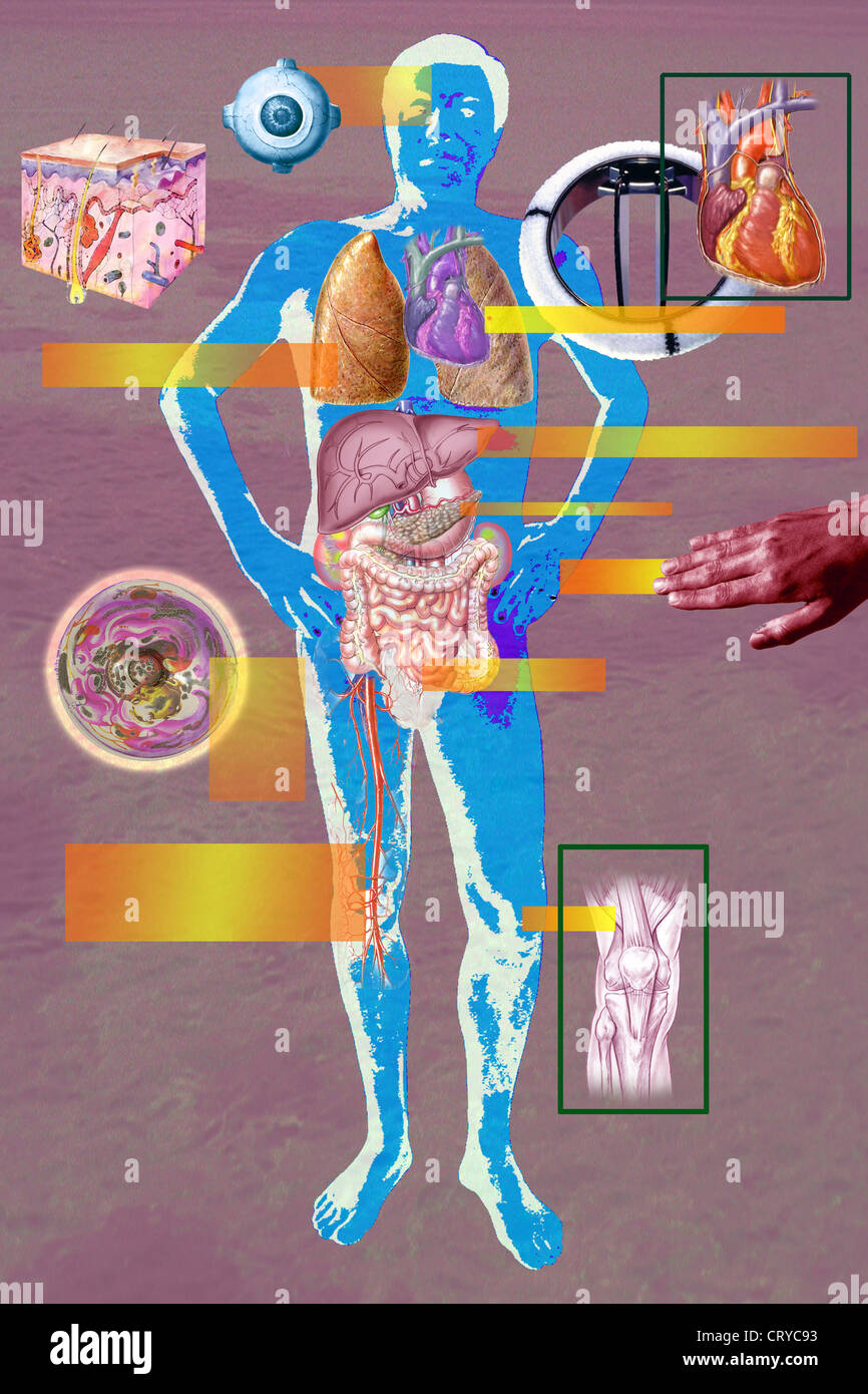 Organs implants hi-res stock photography and images - Alamy