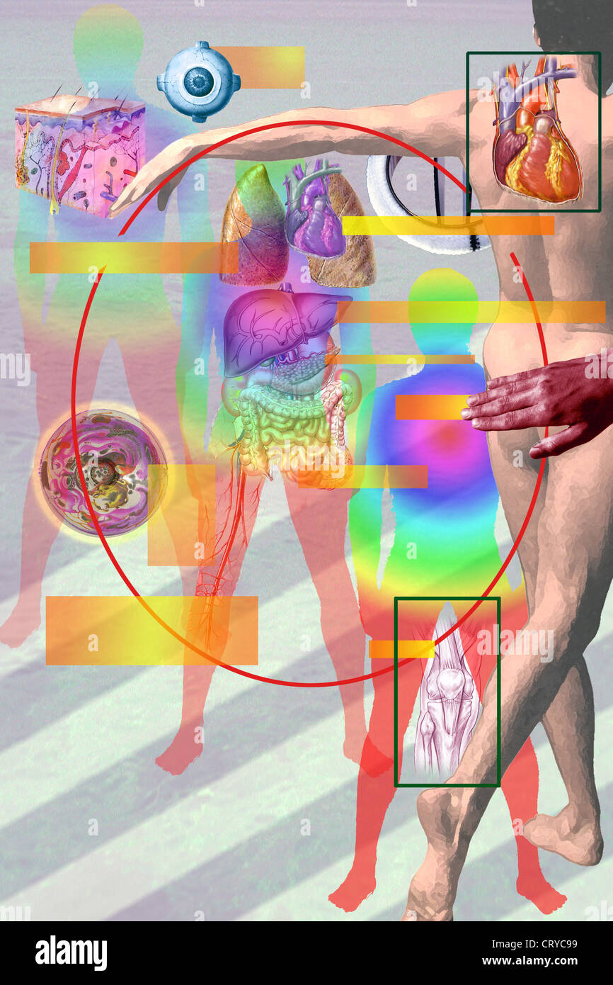 Organs implants hi-res stock photography and images - Alamy