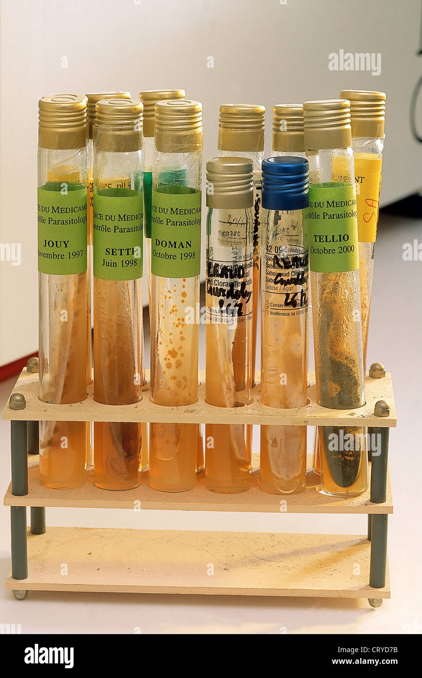 Experiment test tubes racks hi-res stock photography and images - Alamy