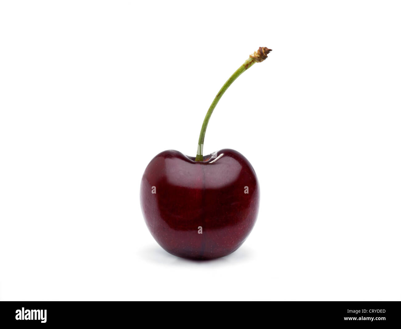 A single Cherry with stalk on white background Stock Photo - Alamy