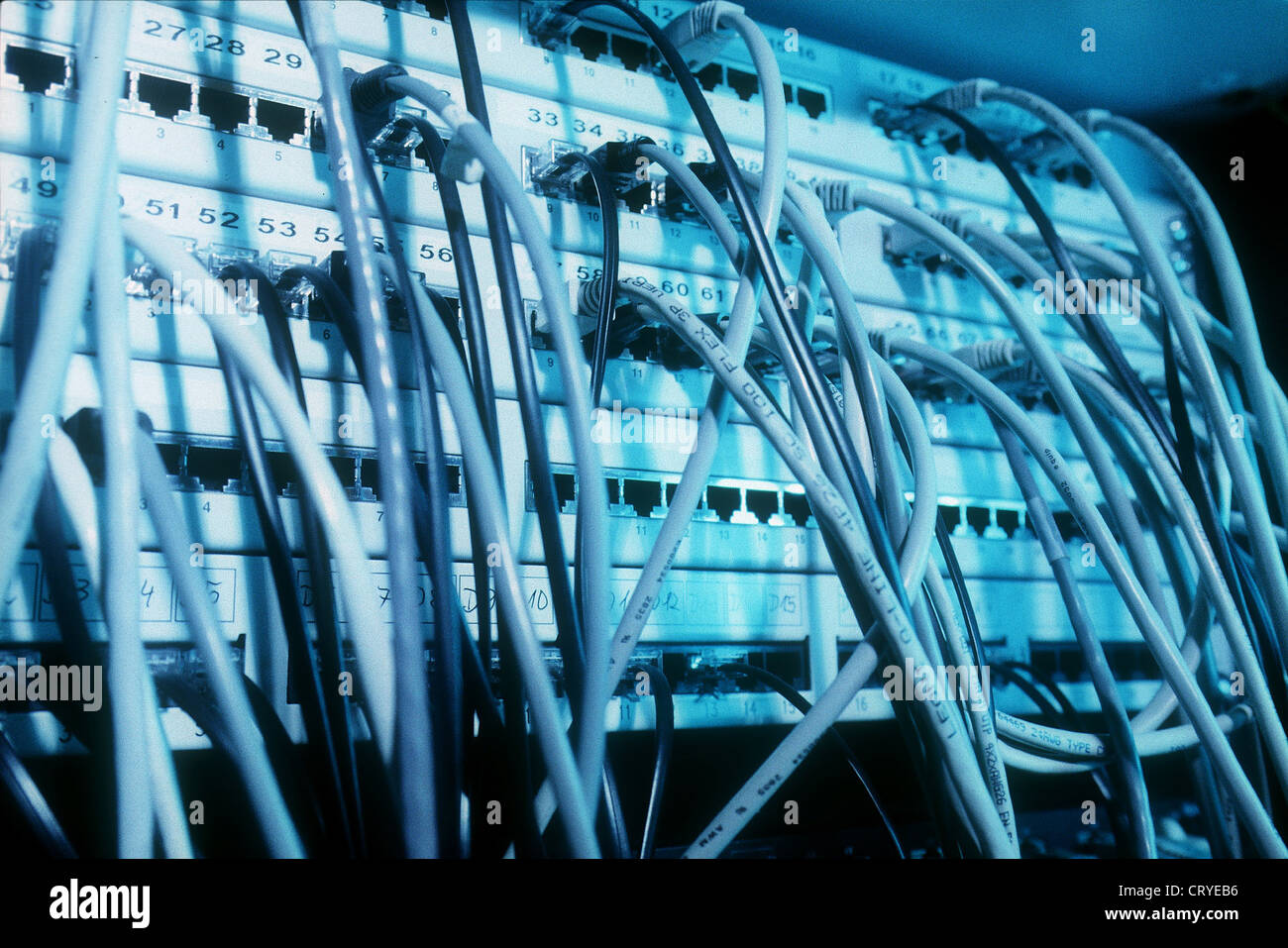 Many network cable to a server Stock Photo - Alamy
