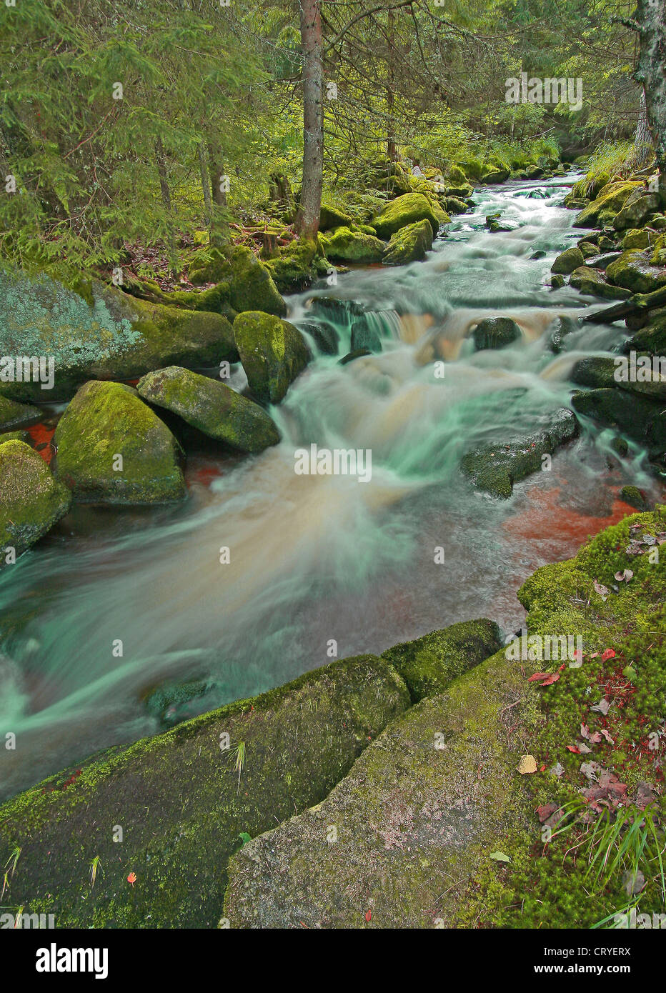 wild cascading brook in a mountain Stock Photo - Alamy