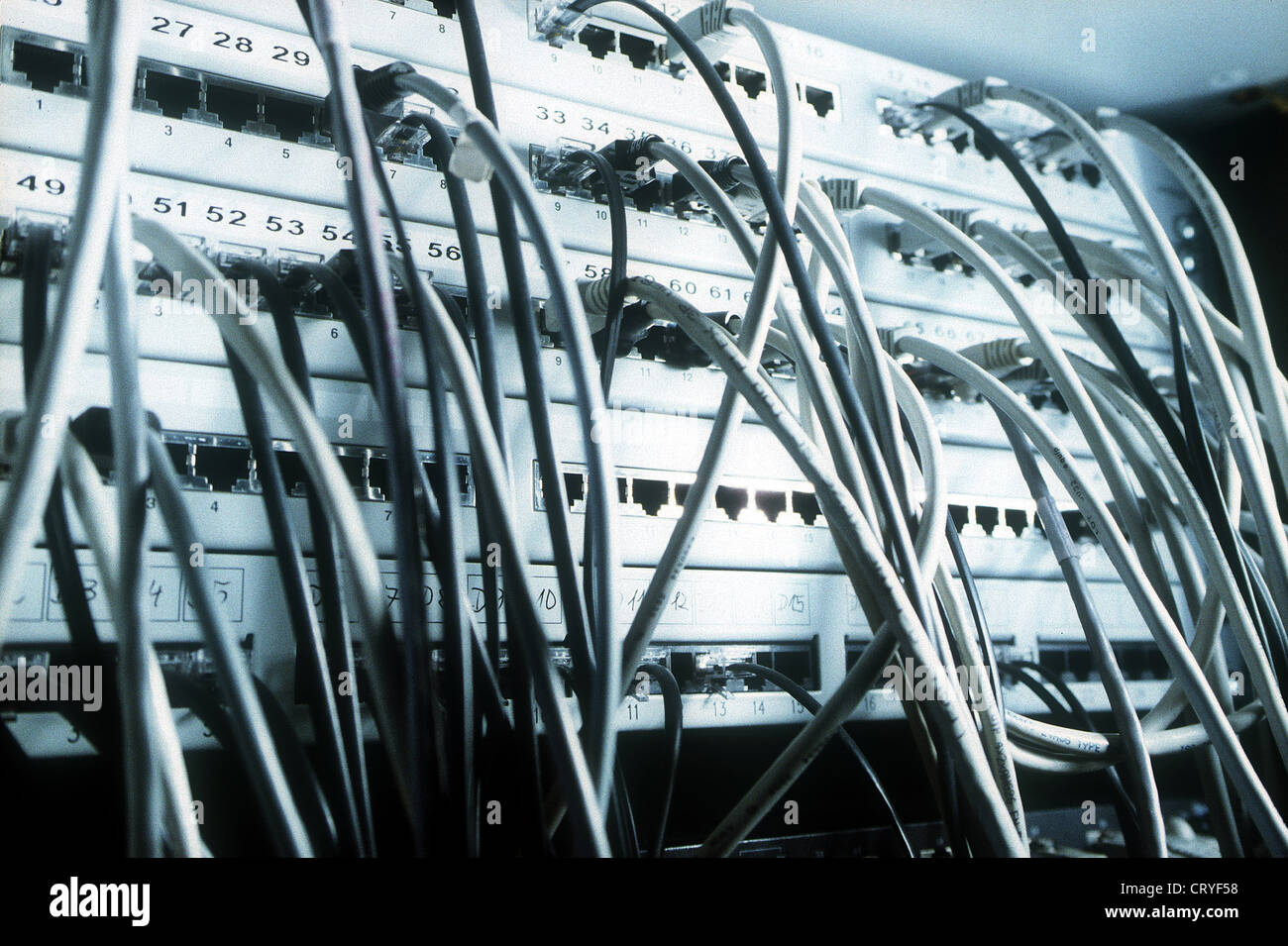 Many network cable to a server Stock Photo - Alamy