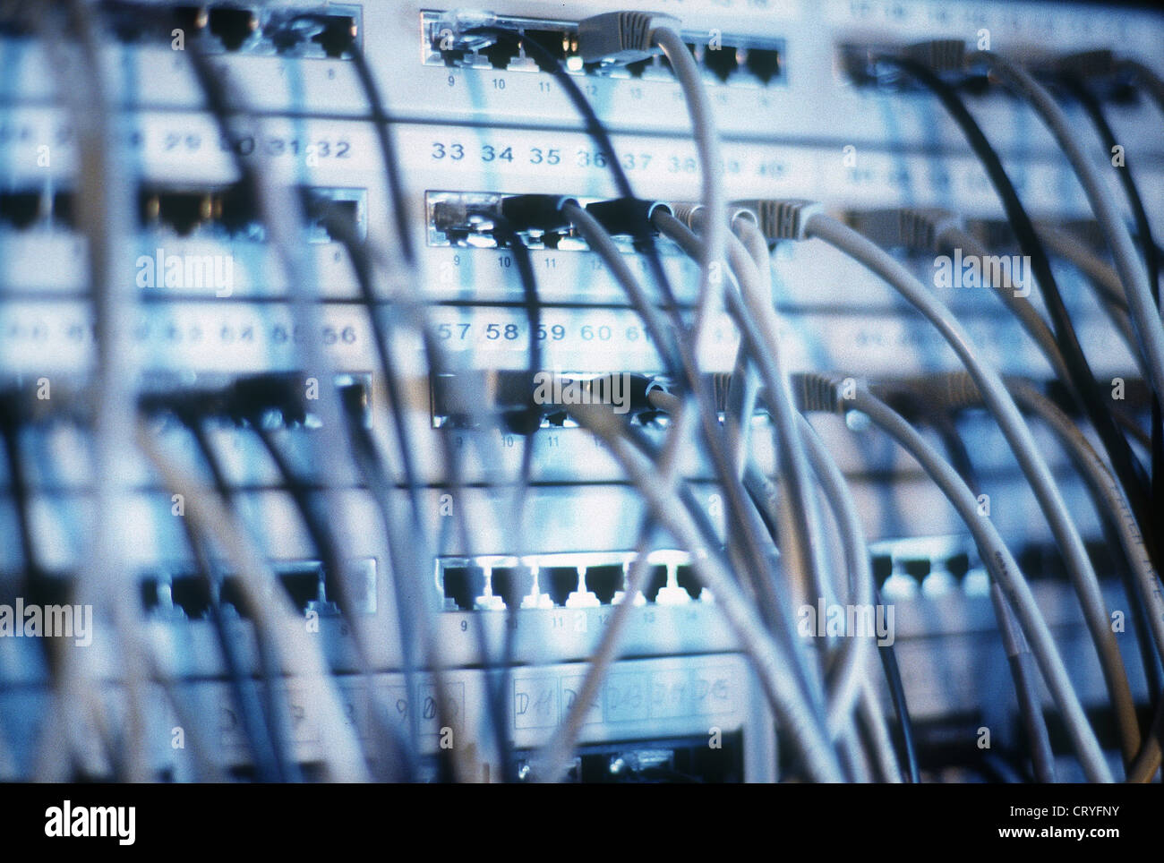 Many network cable to a server Stock Photo - Alamy