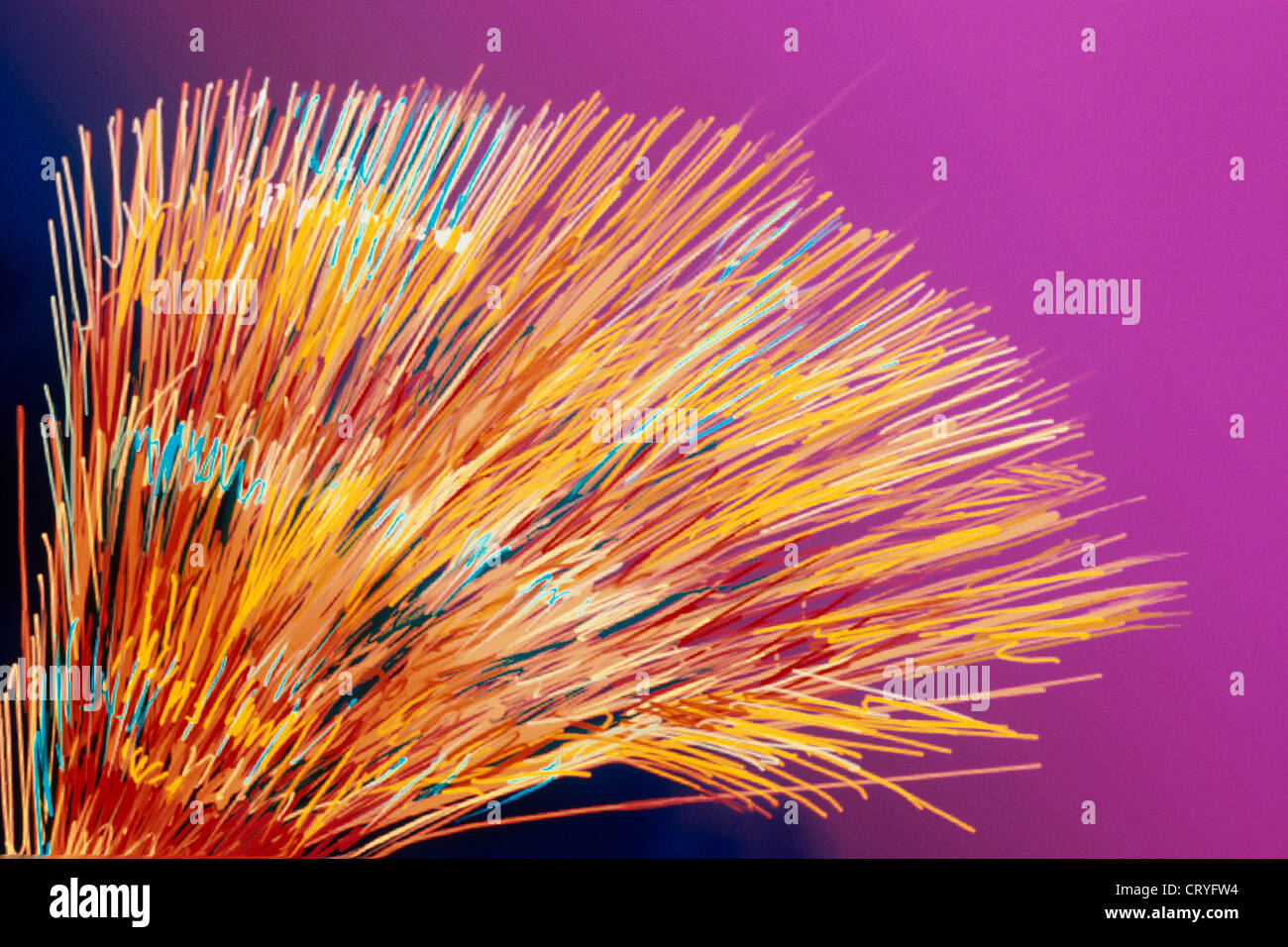 Niacin test hi-res stock photography and images - Alamy