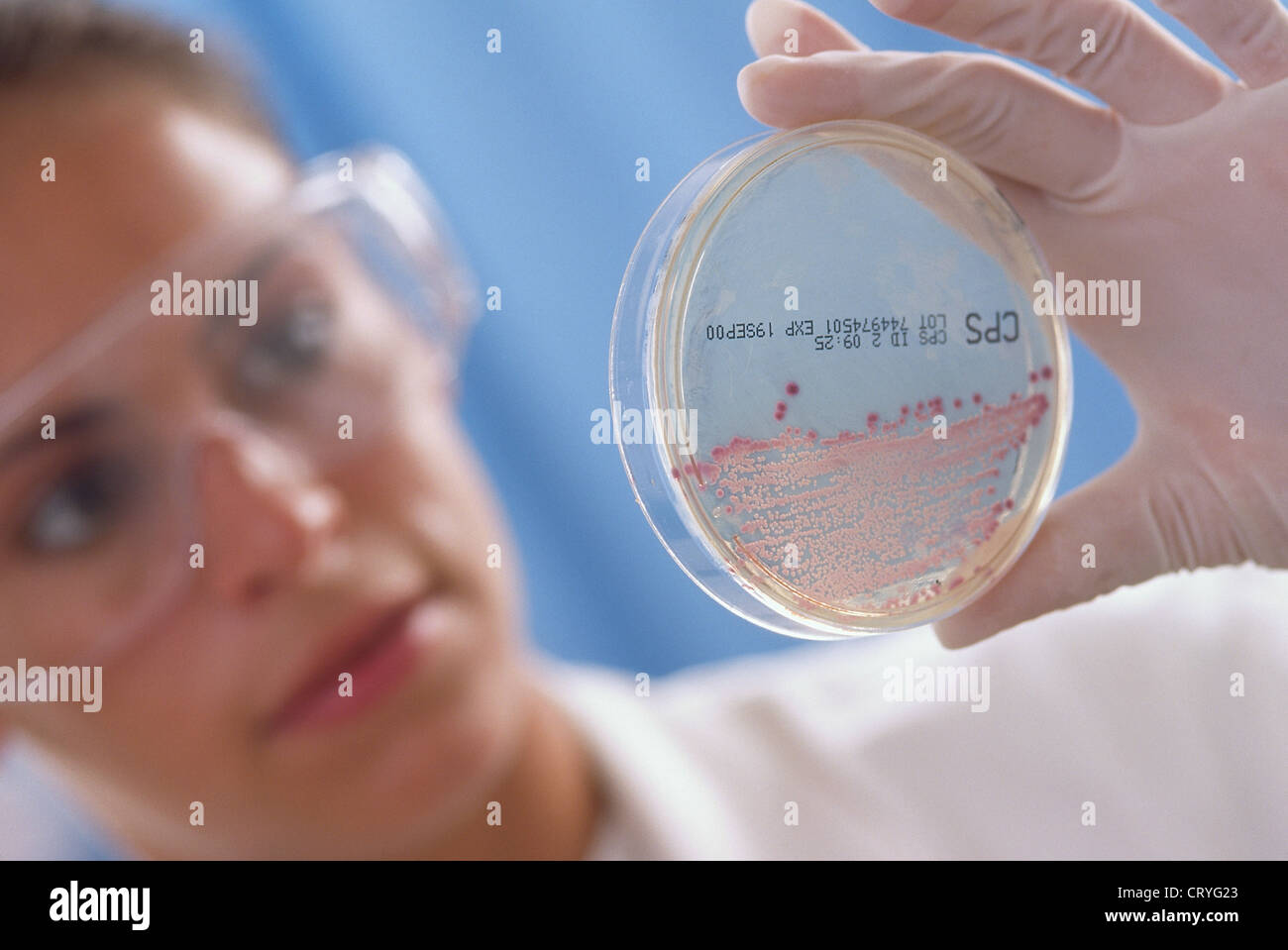 Group b streptococci hi-res stock photography and images - Alamy
