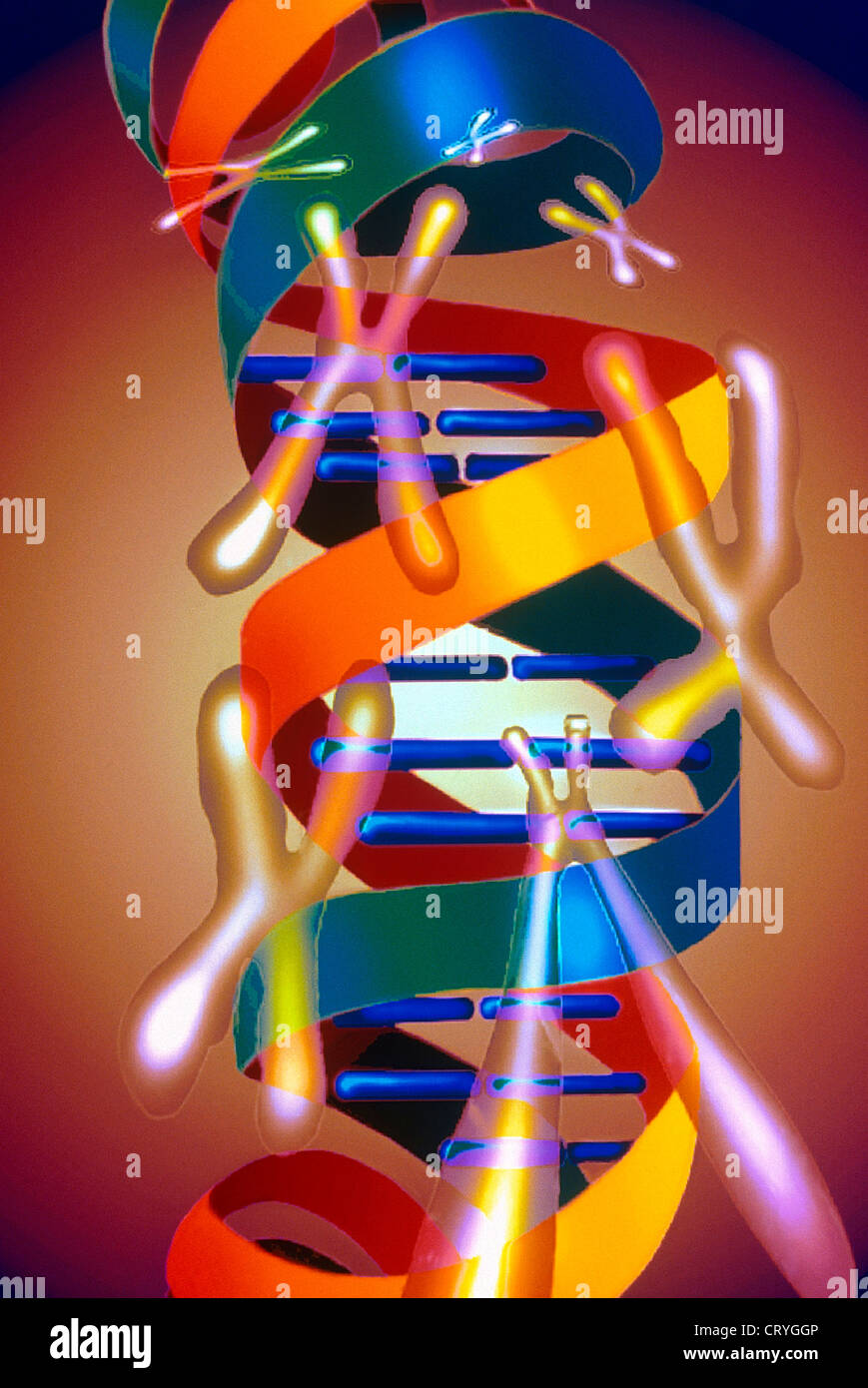 Genetics inherited disease hi-res stock photography and images - Alamy