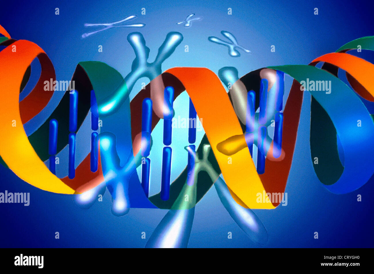 Genetics inherited disease hi-res stock photography and images - Alamy