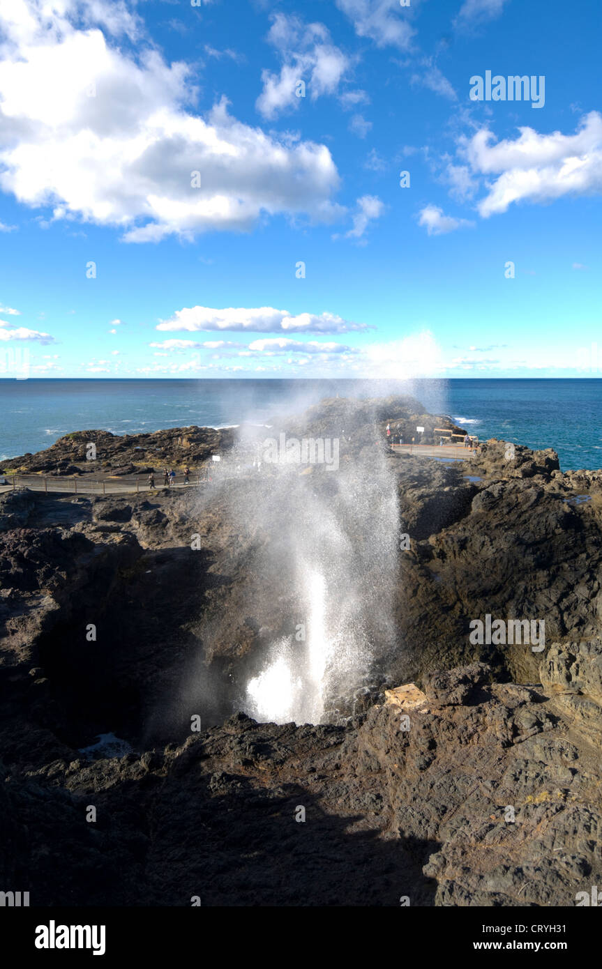 Kiama blowhole hi-res stock photography and images - Alamy