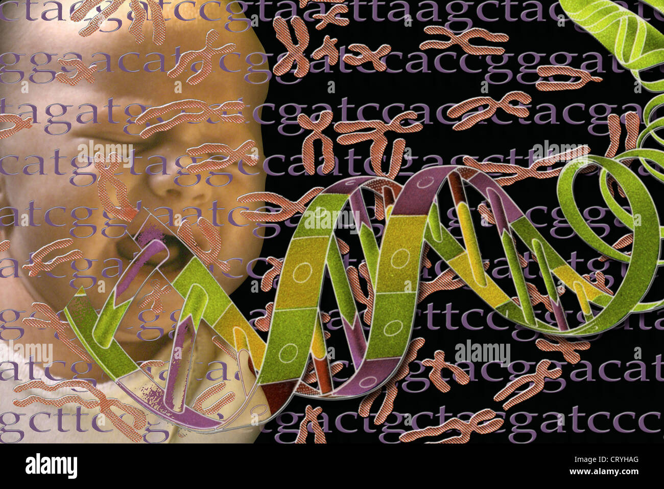 Preimplantation genetic screening hi-res stock photography and images ...