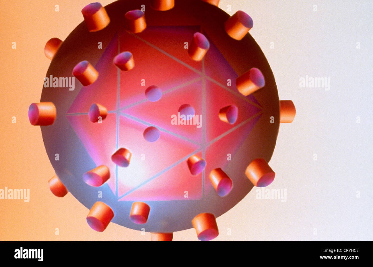 Hepatitis c drawing hi-res stock photography and images - Alamy