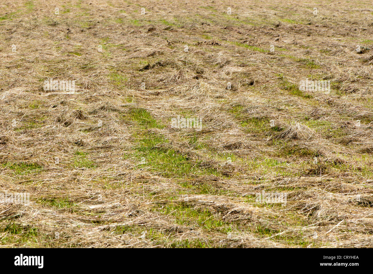 Field lands hi-res stock photography and images - Alamy