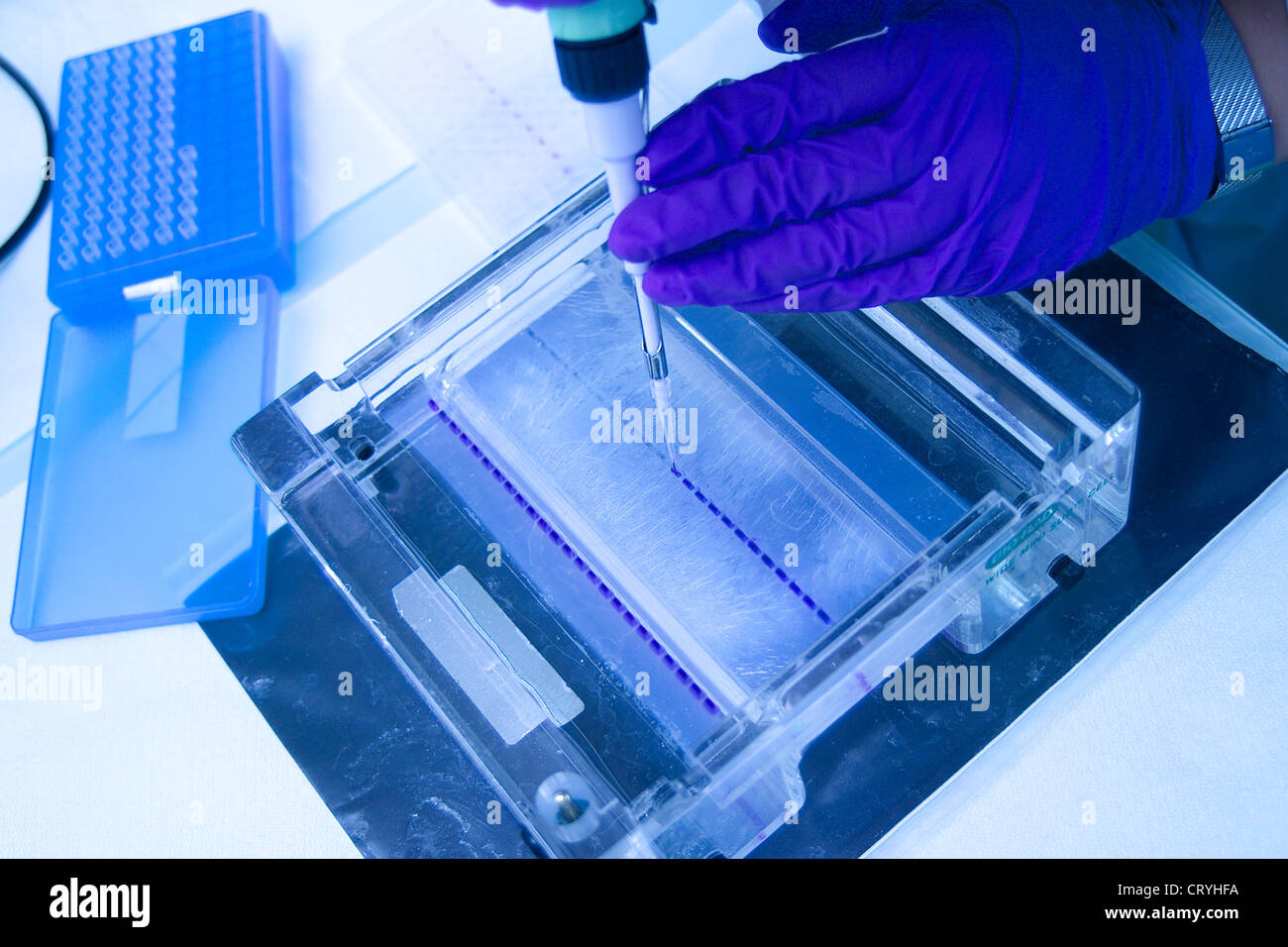 Cancer research workers hi-res stock photography and images - Alamy