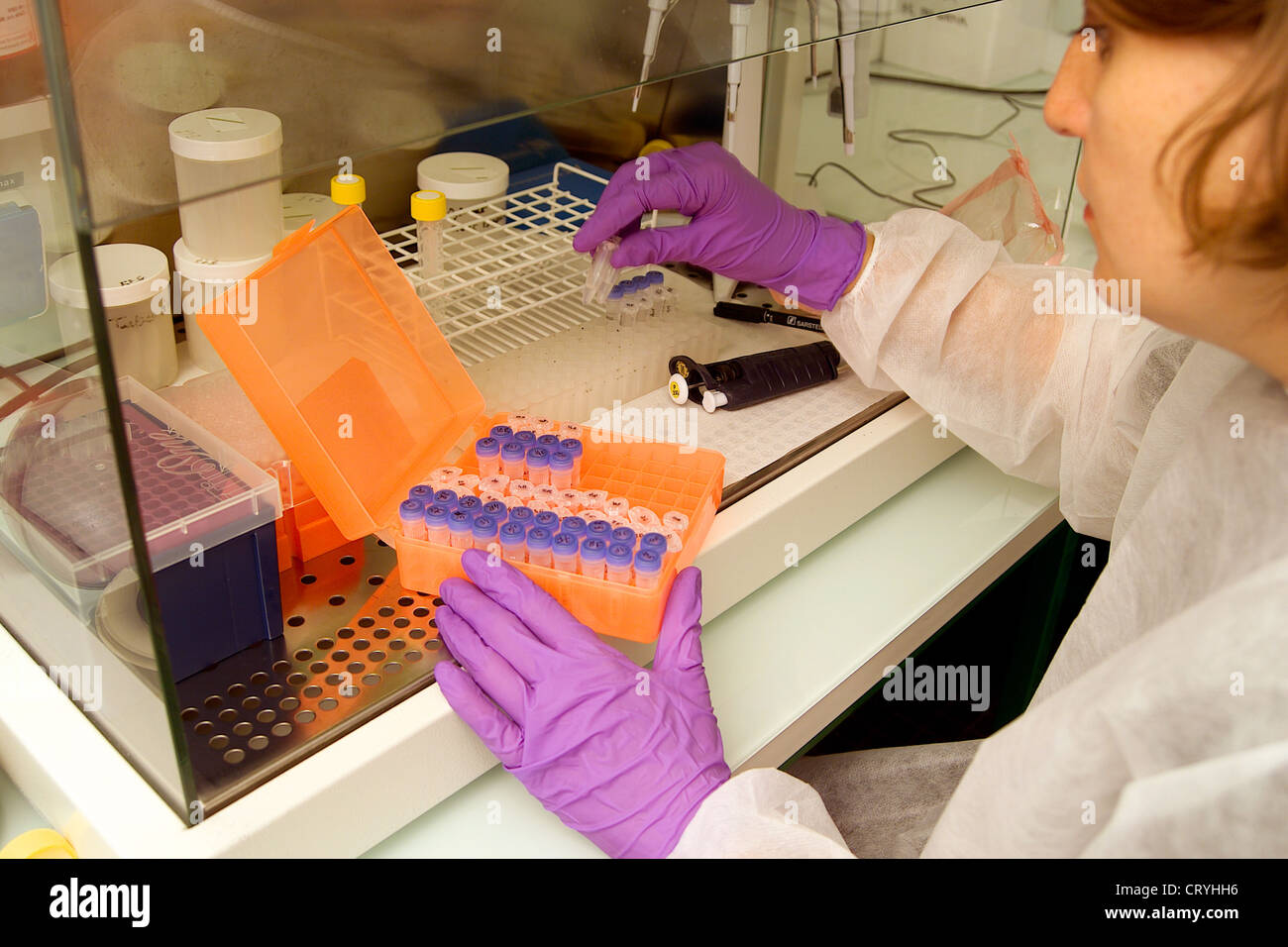 Institute of molecular genetics hi-res stock photography and images - Alamy