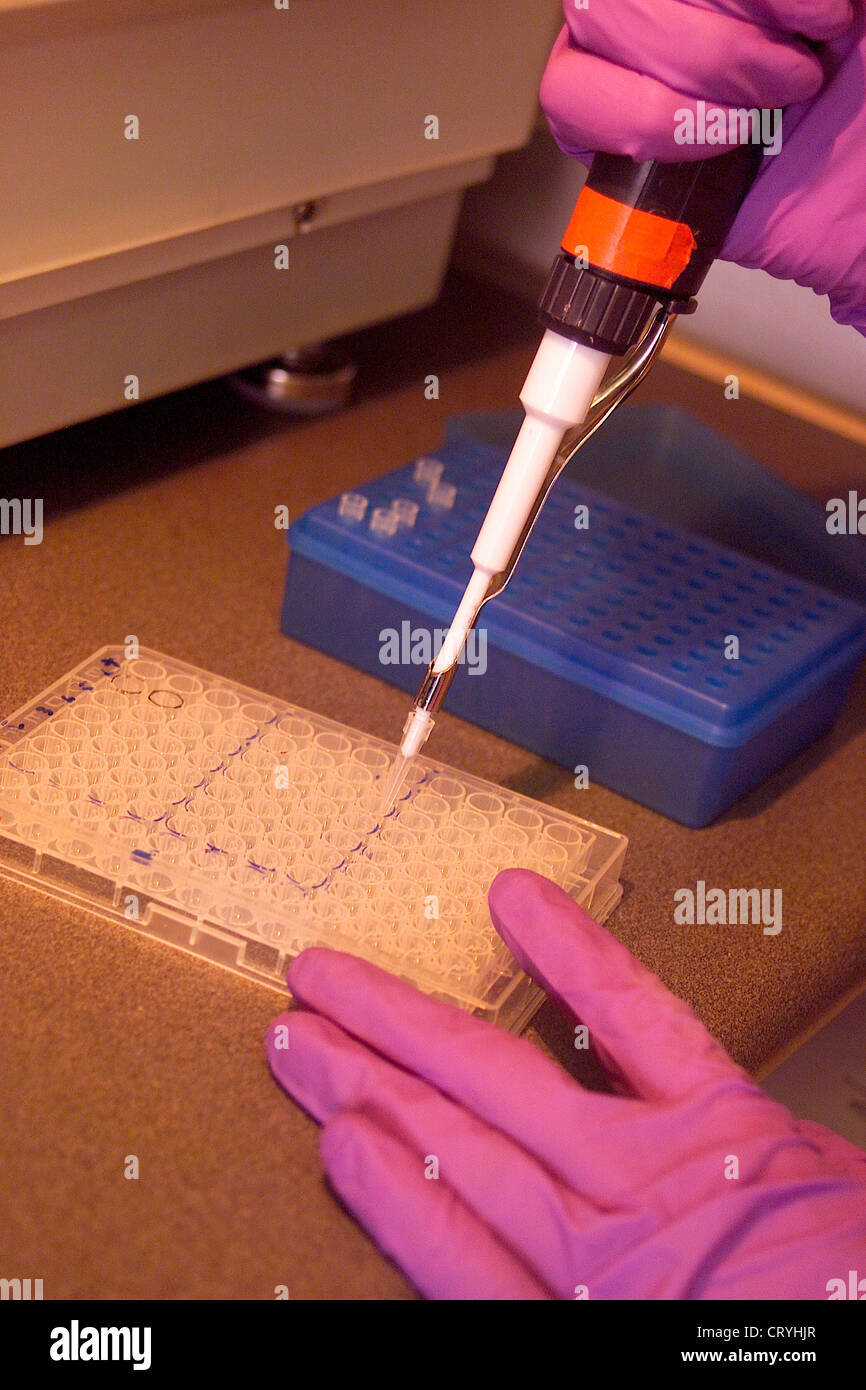 Electrophoresis plate hi-res stock photography and images - Alamy