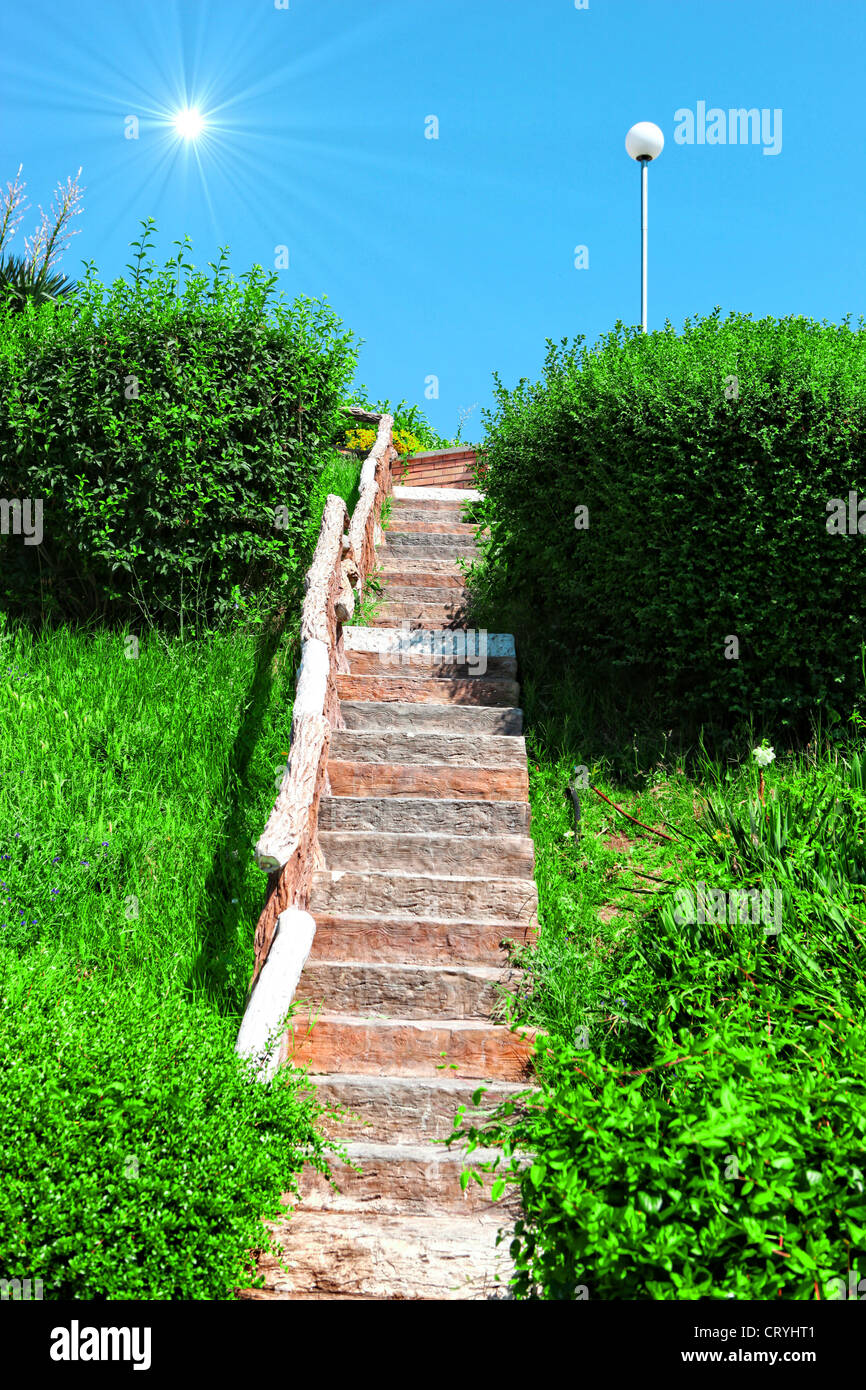 Stair climb in the woods hi-res stock photography and images - Alamy
