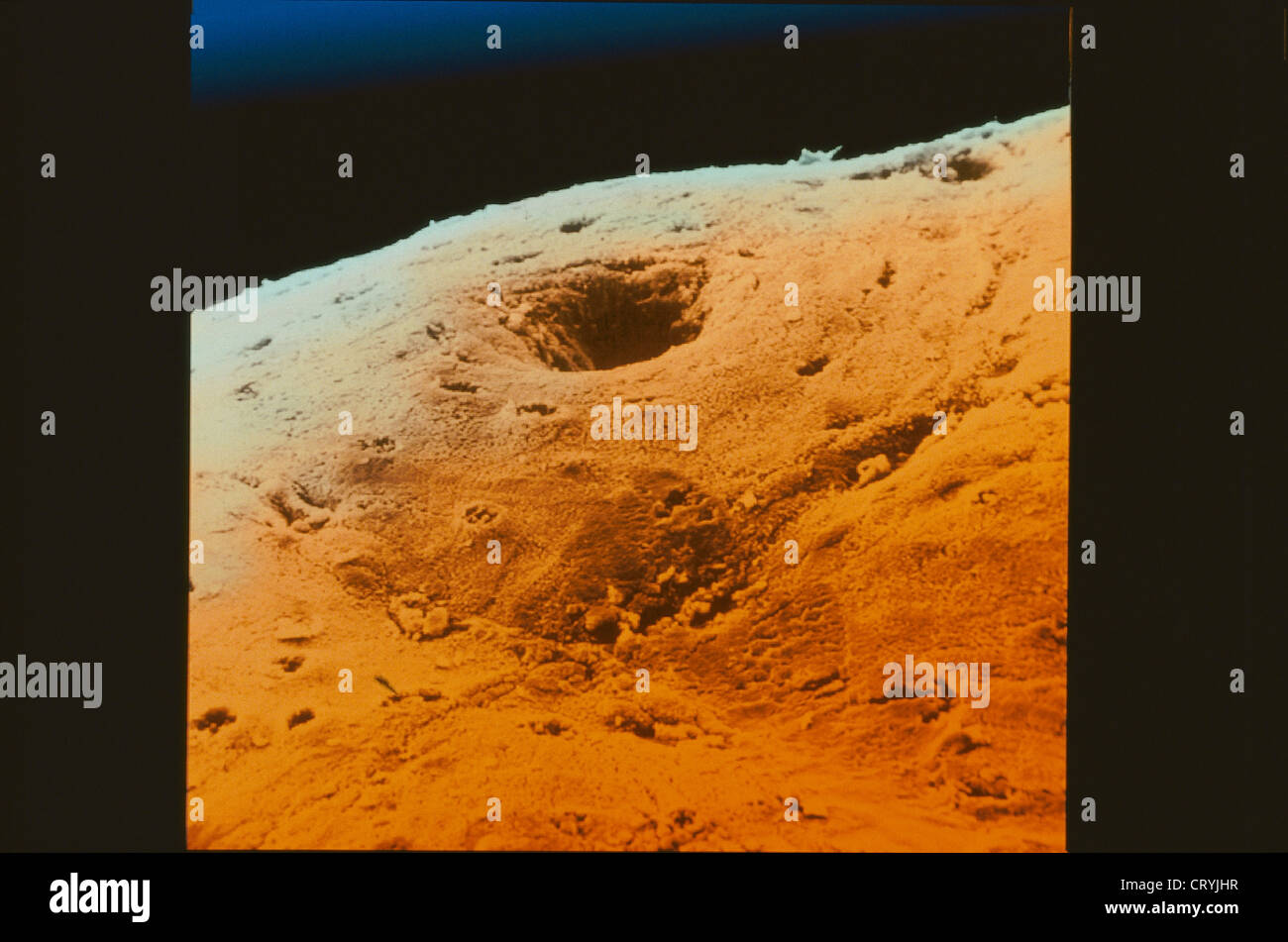 MUCOSA OF THE COLON, SEM Stock Photo - Alamy