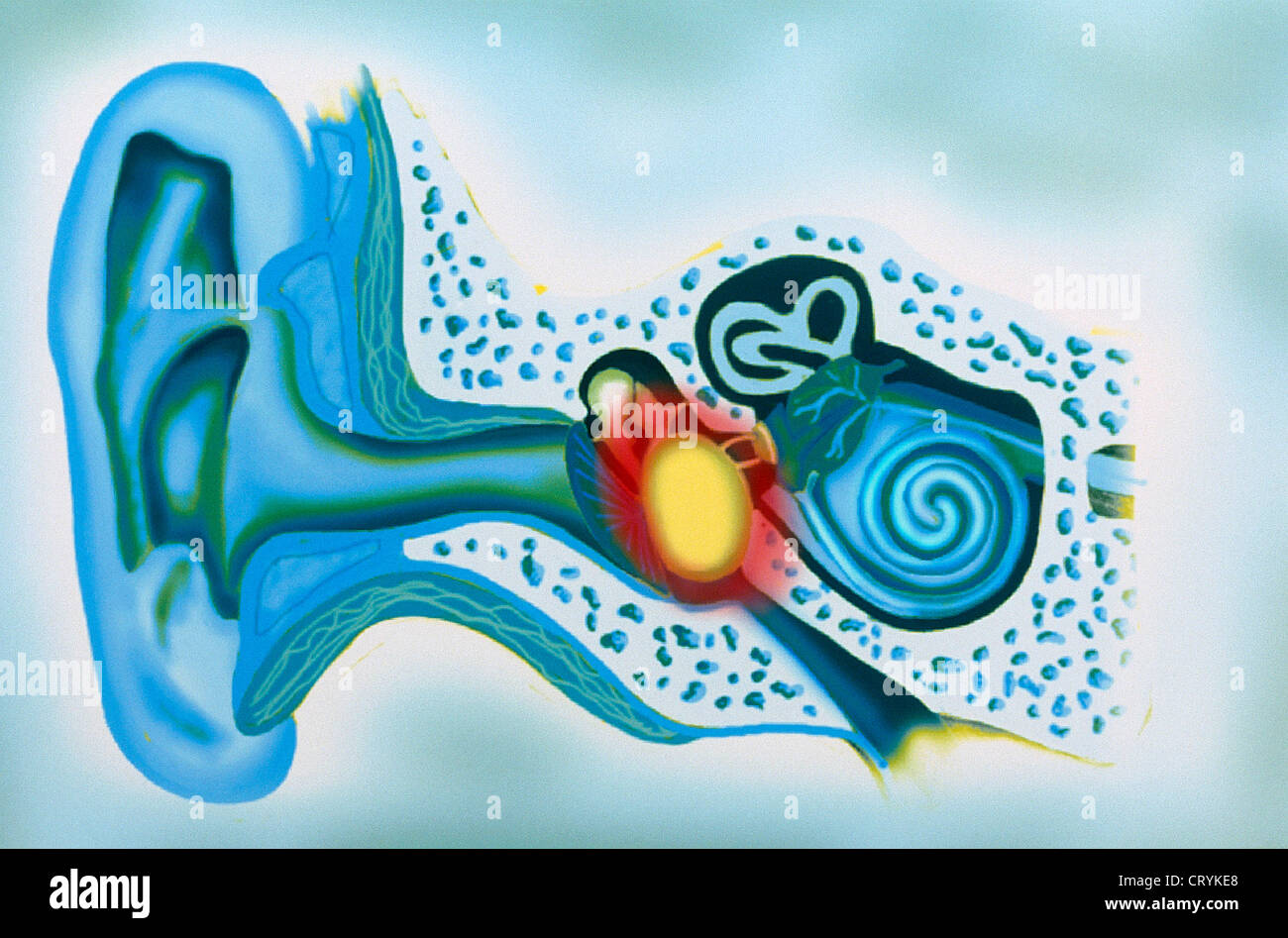 Otitis Media Stock Photos & Otitis Media Stock Images - Alamy