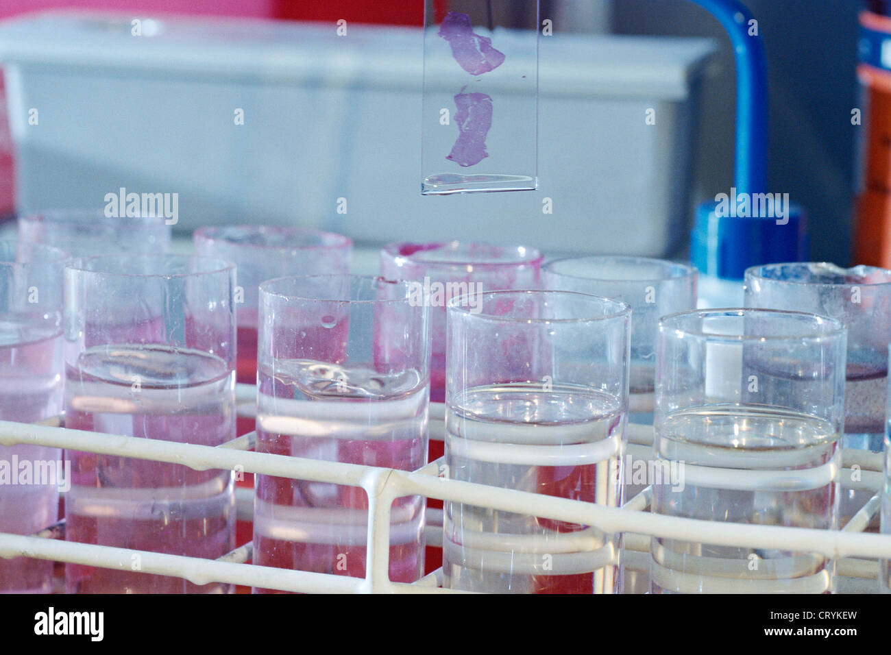 Research and inspection laboratories hi-res stock photography and ...