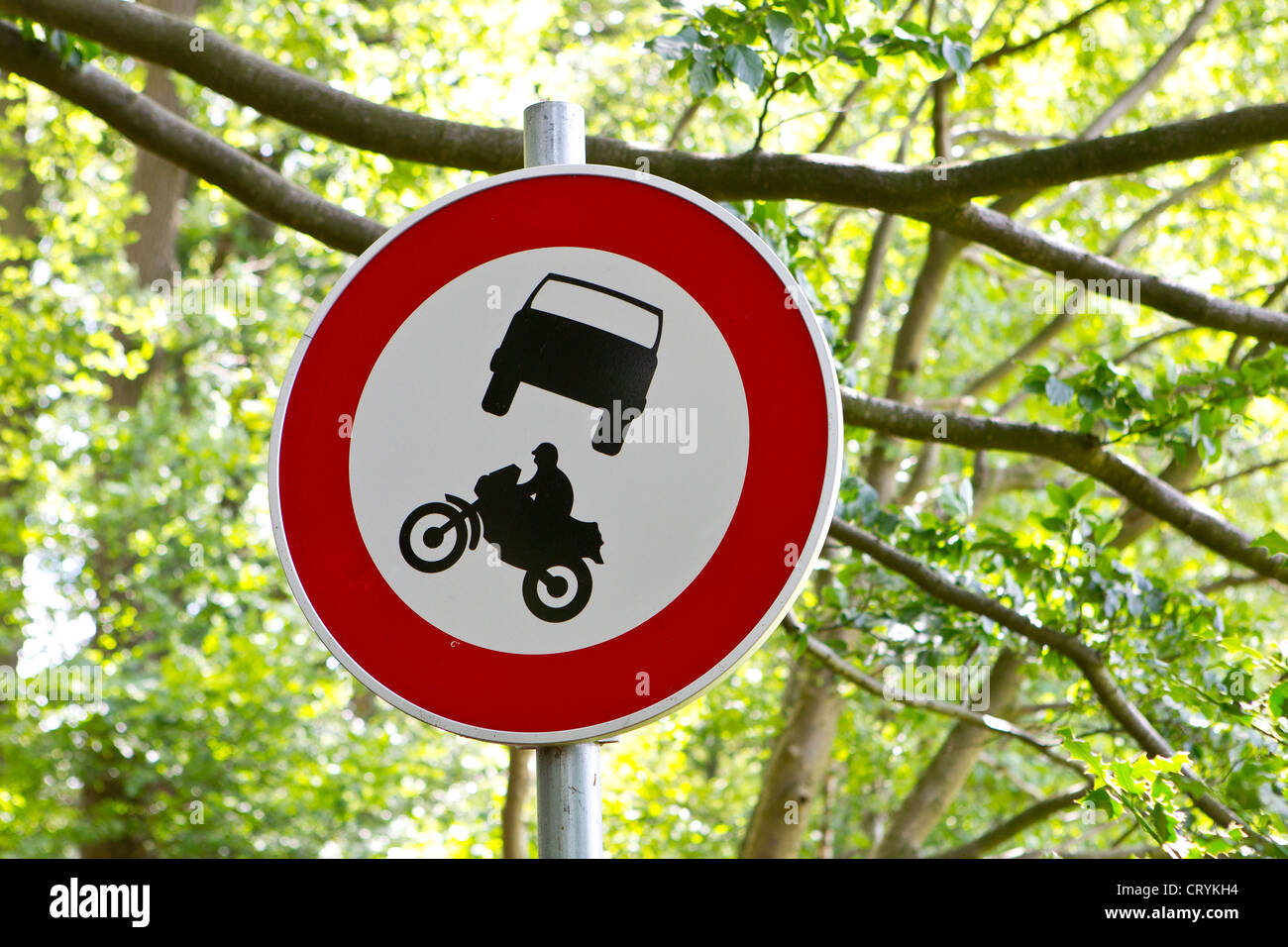 Danger in the forest hi-res stock photography and images - Alamy