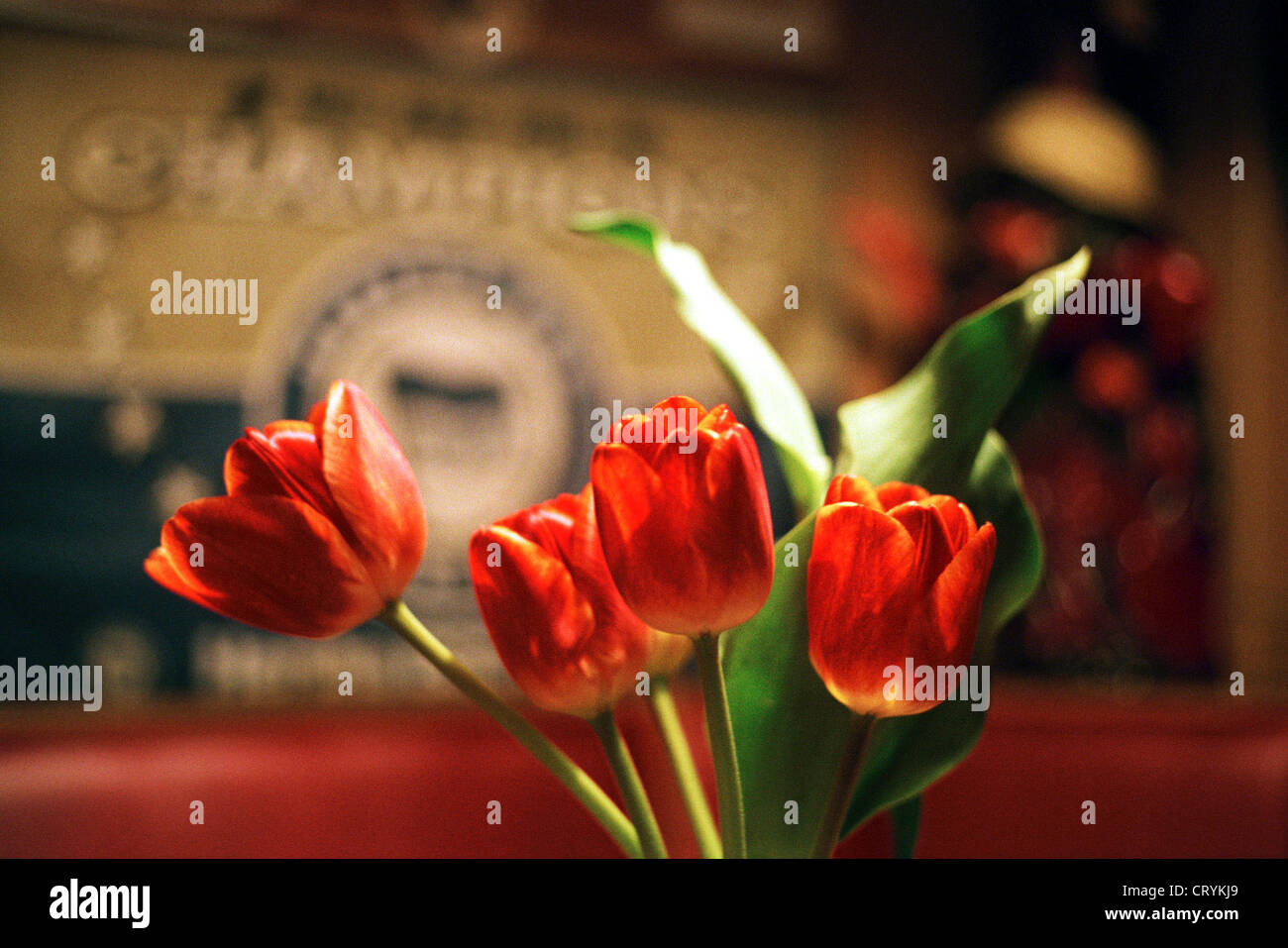 Red tulips painting hi-res stock photography and images - Alamy