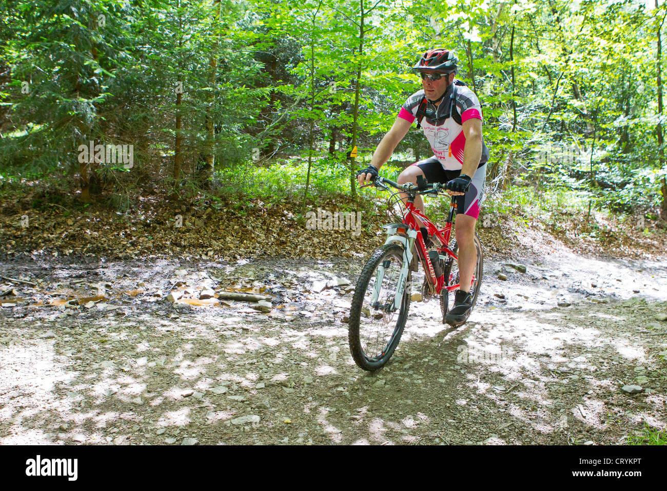 Riding bike forest hi-res stock photography and images - Alamy