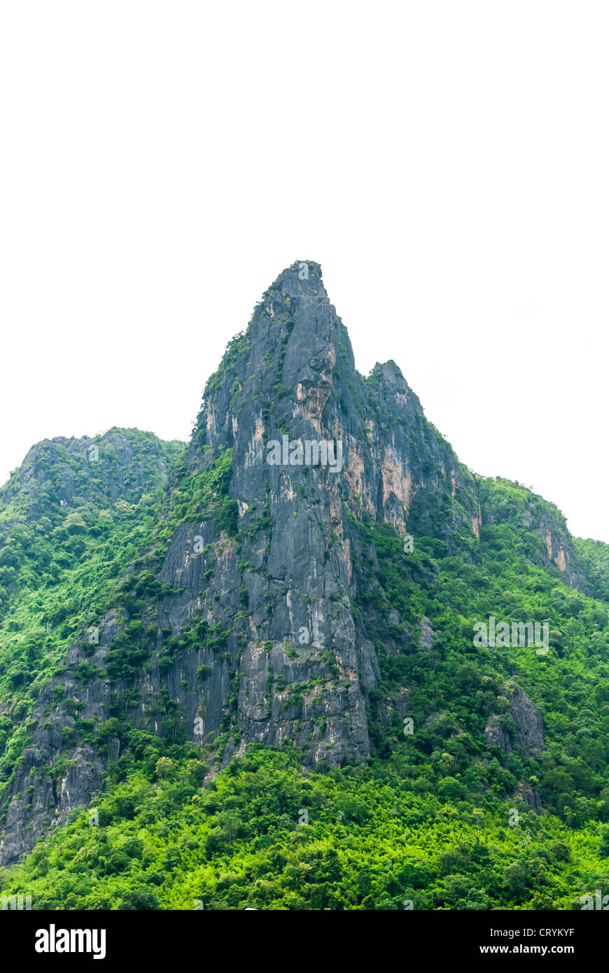 Mountain birds hi-res stock photography and images - Alamy