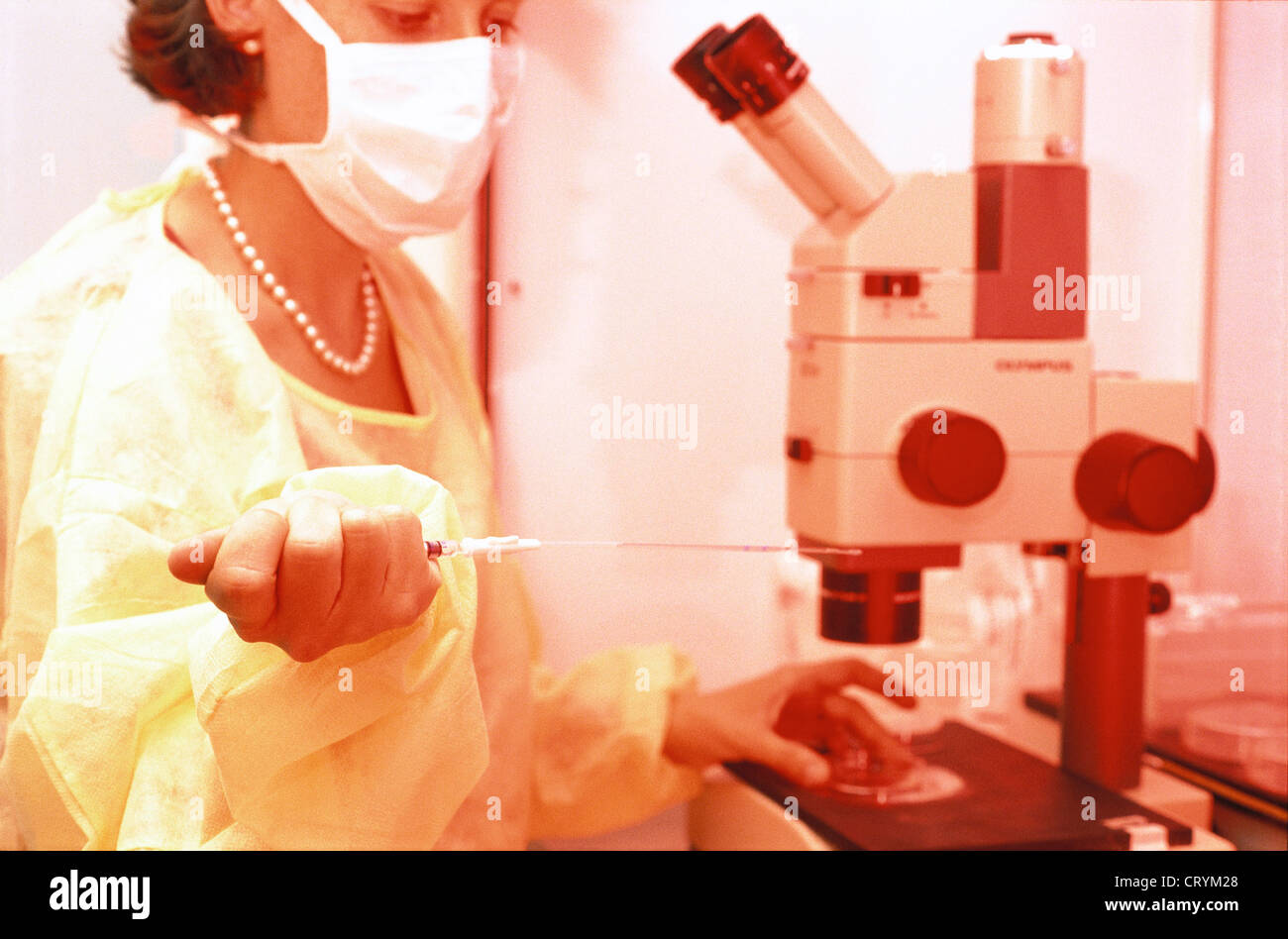 Human fertilisation and embryology hi-res stock photography and images ...