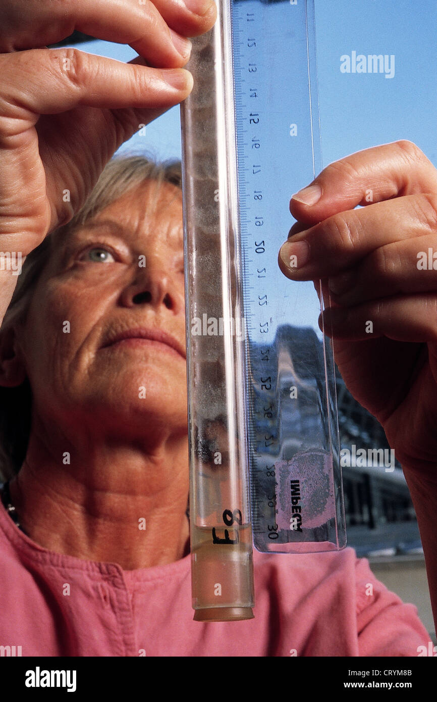 Genetics studies hi-res stock photography and images - Alamy