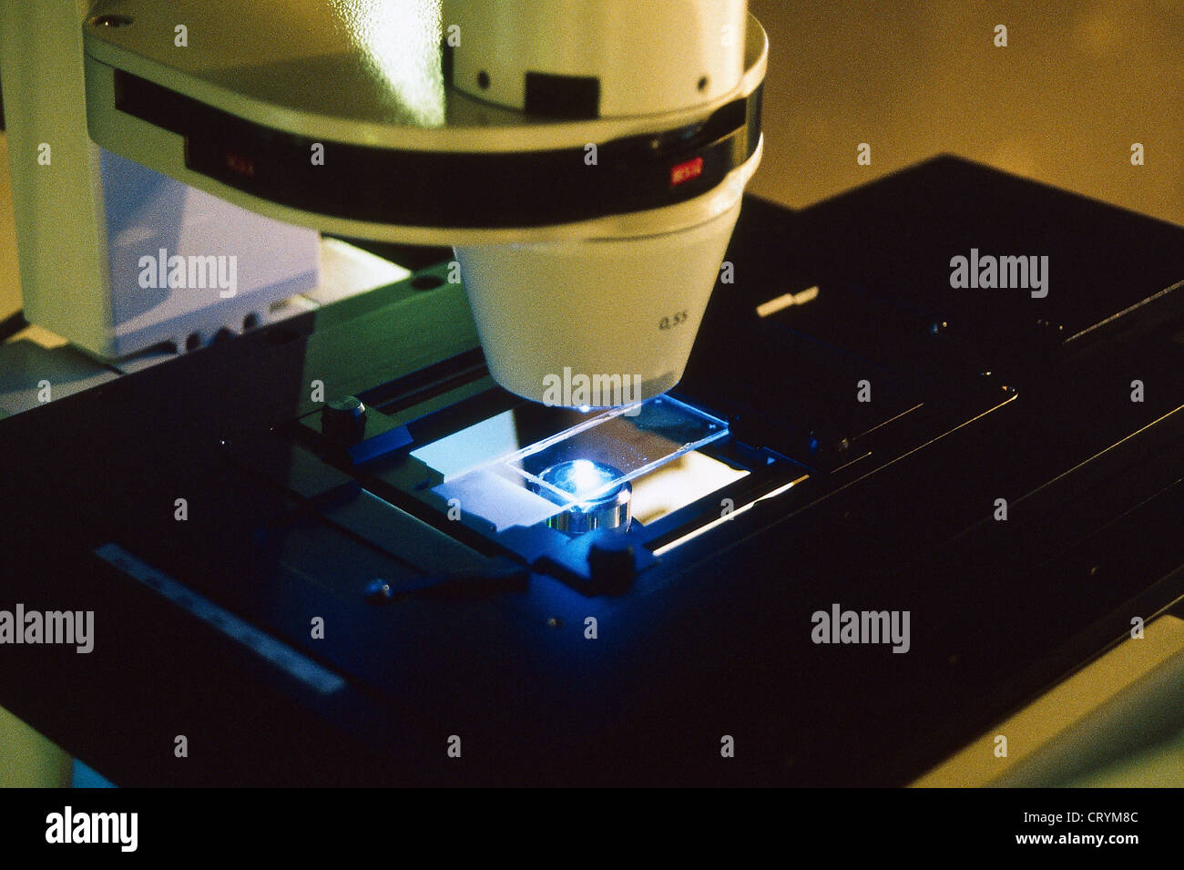 Microscope glass slide hi-res stock photography and images - Alamy