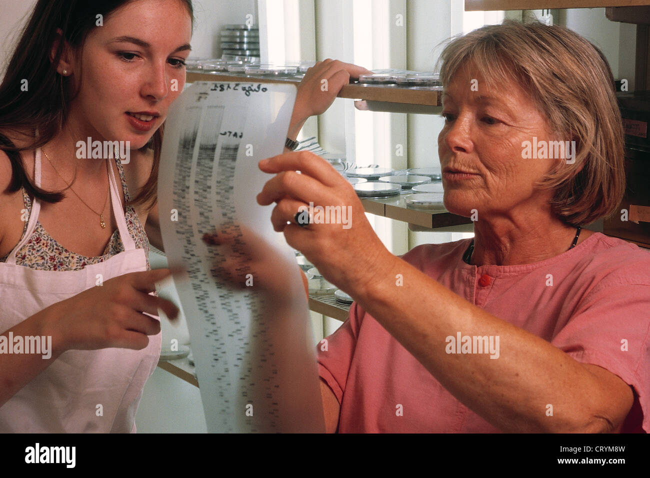 Genetics studies hi-res stock photography and images - Alamy