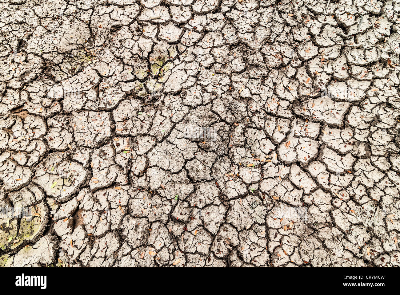 Dry soil surface Stock Photo - Alamy