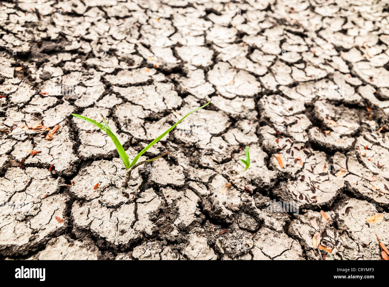 Dry soil surface Stock Photo - Alamy