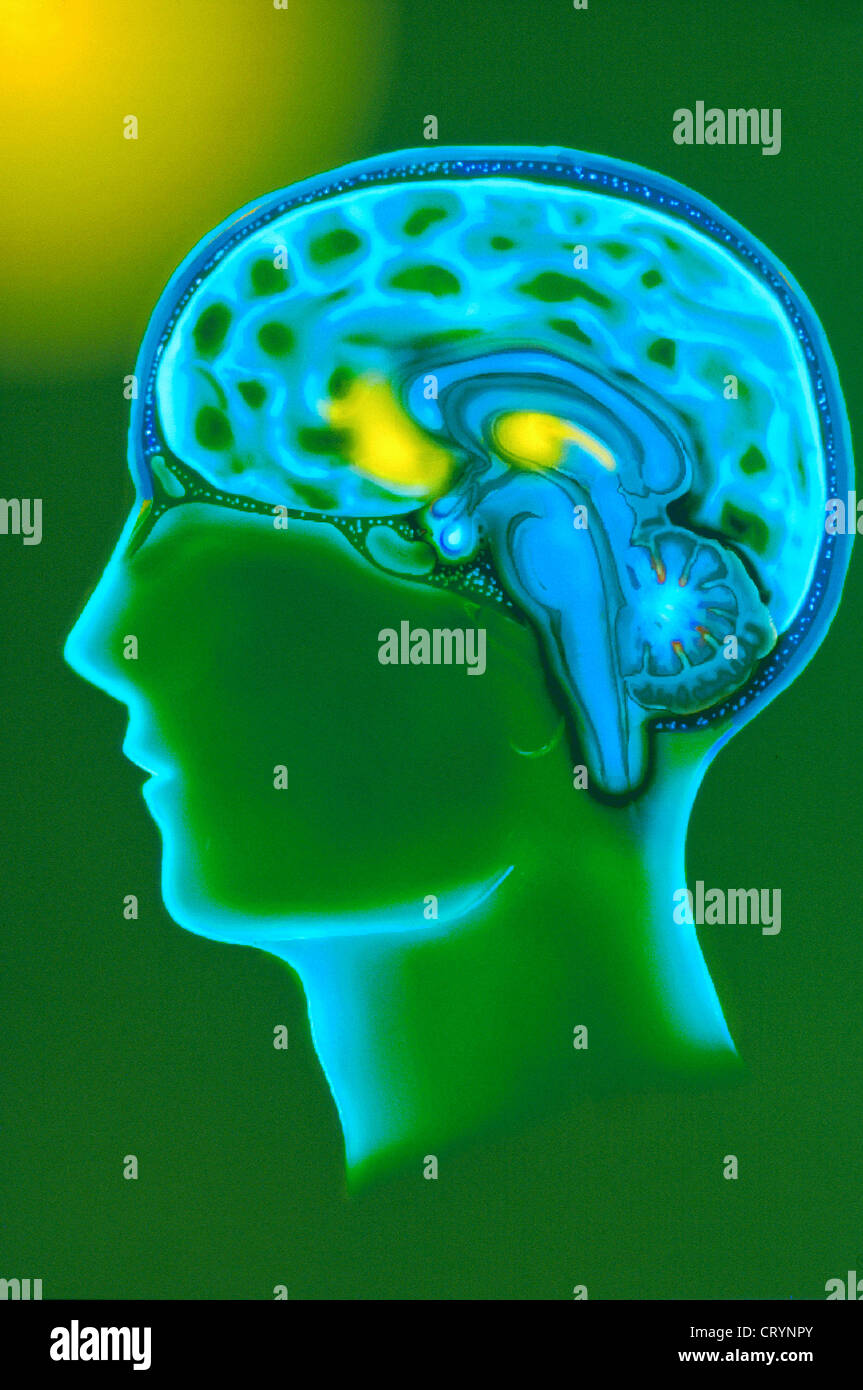 Taste drawing hi-res stock photography and images - Alamy