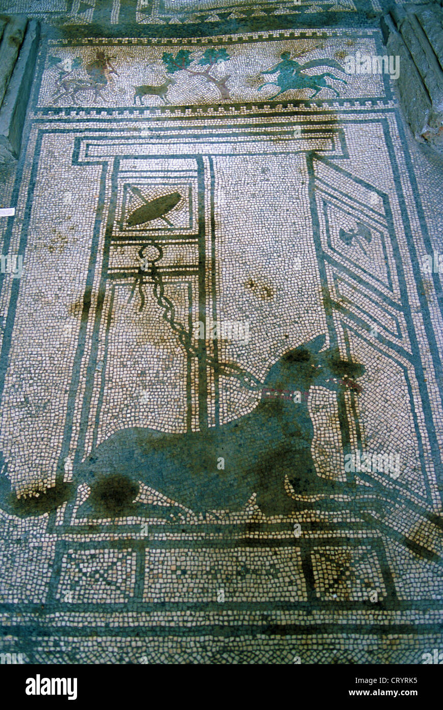 Italy, Campania, Pompei, floor, mosaic Stock Photo - Alamy