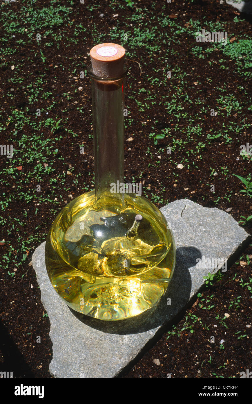 Perfume of capri hi-res stock photography and images - Alamy