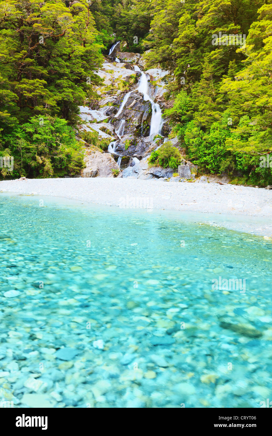 Roaring Billy Falls (Haast Pass, South Island, New Zealand Stock Photo ...