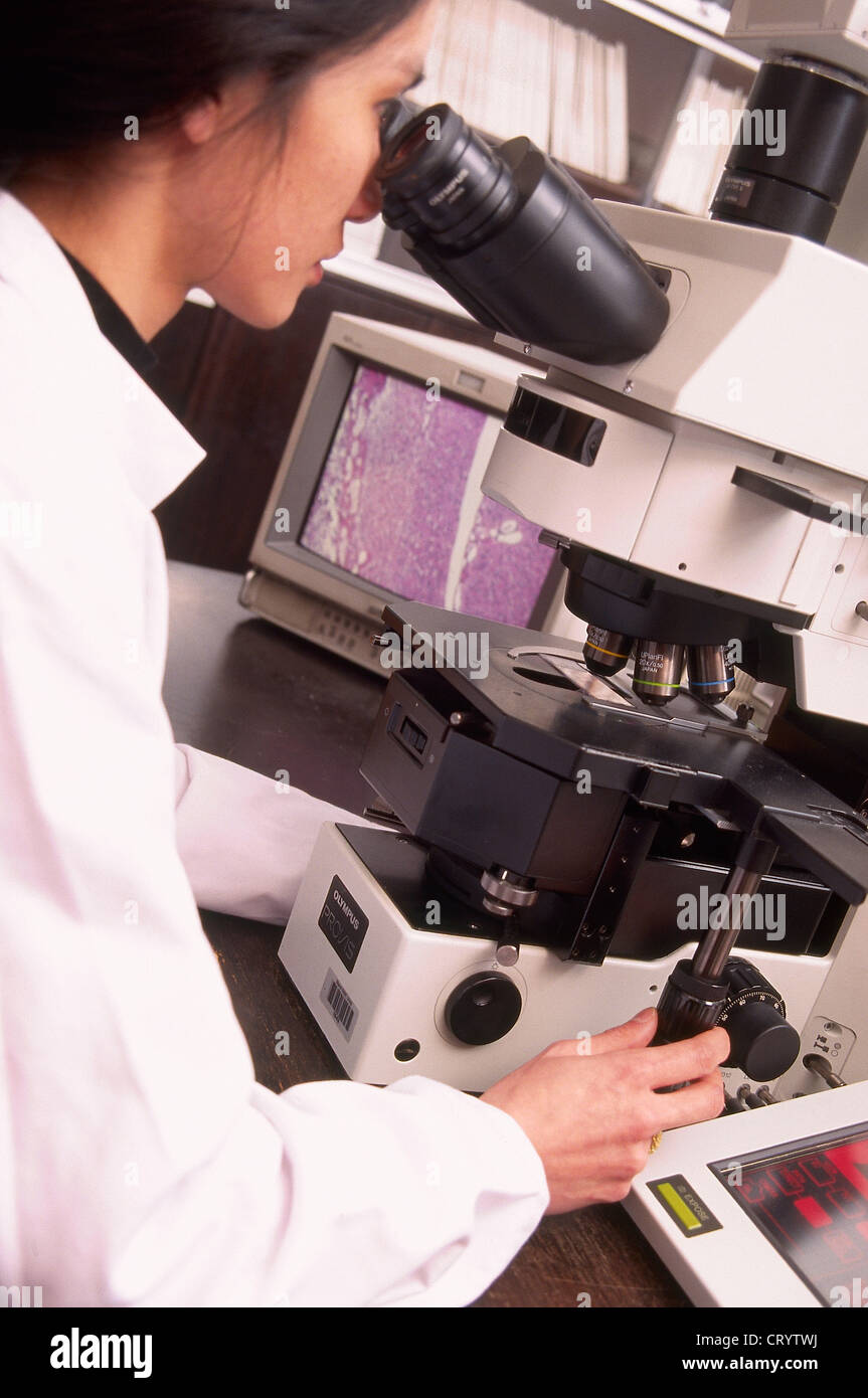 Anatomic instruments hi-res stock photography and images - Alamy