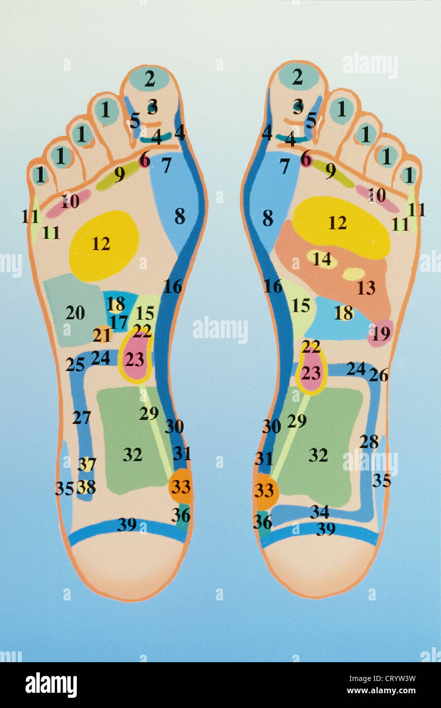 Reflexology feet illustration hi-res stock photography and images - Alamy