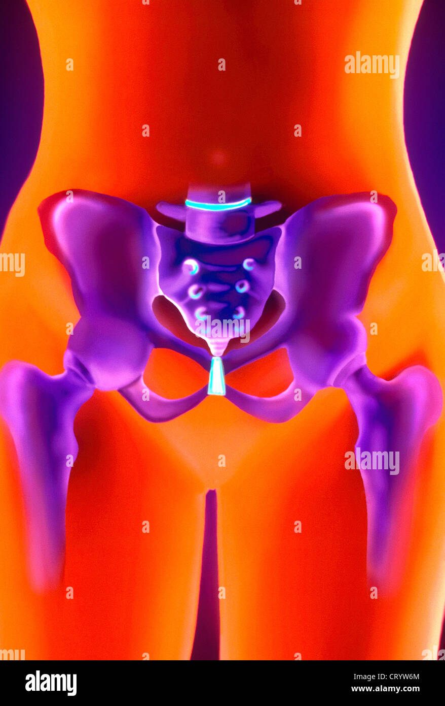 Pelvic inlet hi-res stock photography and images - Alamy