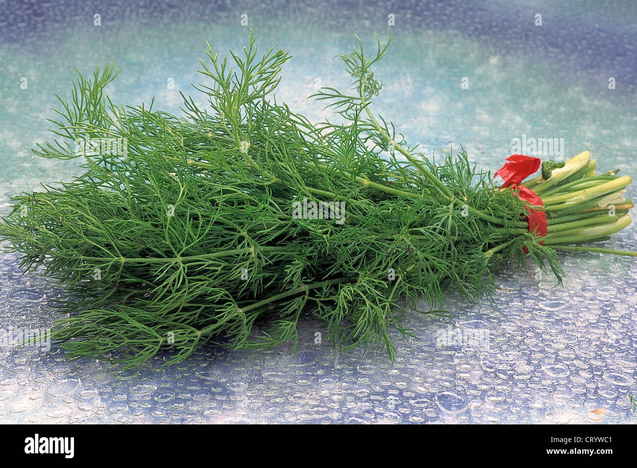 Spice bouquets hi-res stock photography and images - Alamy