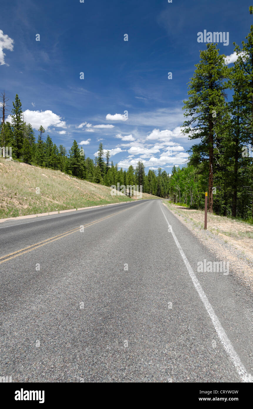 road with rock split in half in Yosemite National Park in California ...