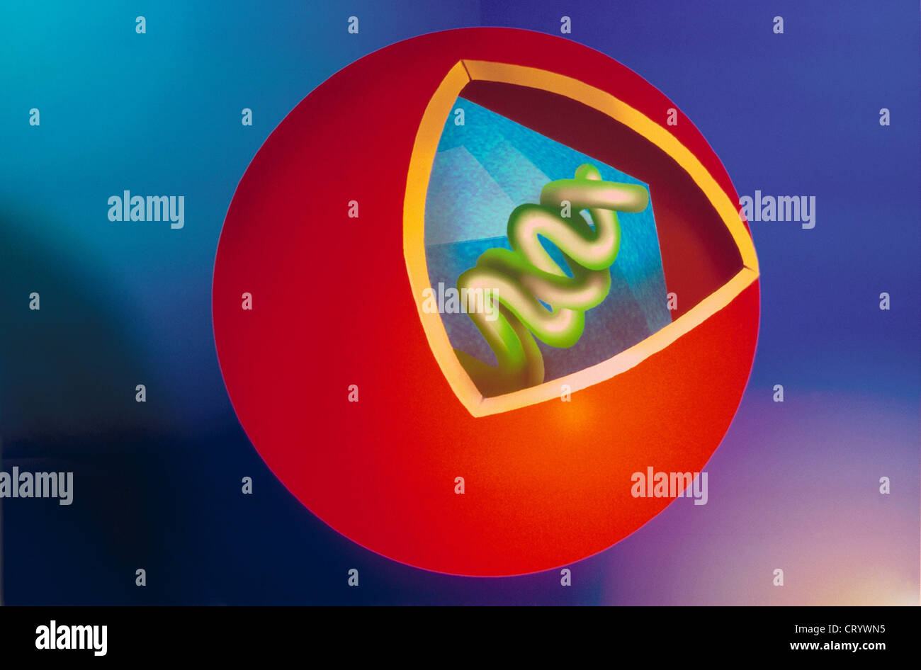 Hepatitis C Drawing High Resolution Stock Photography and Images - Alamy